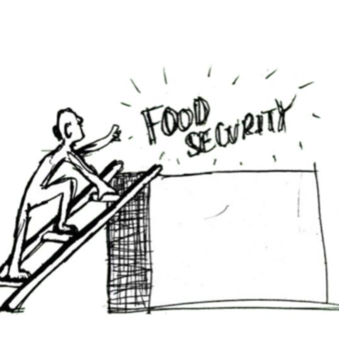 Food Ladders – The Foodbank Project