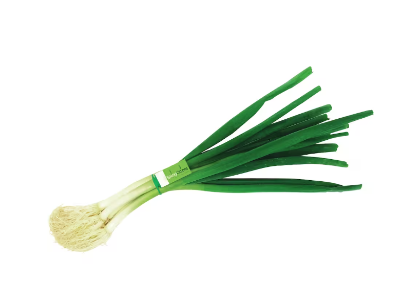 Spring Onion (Each) – The Foodbank Project