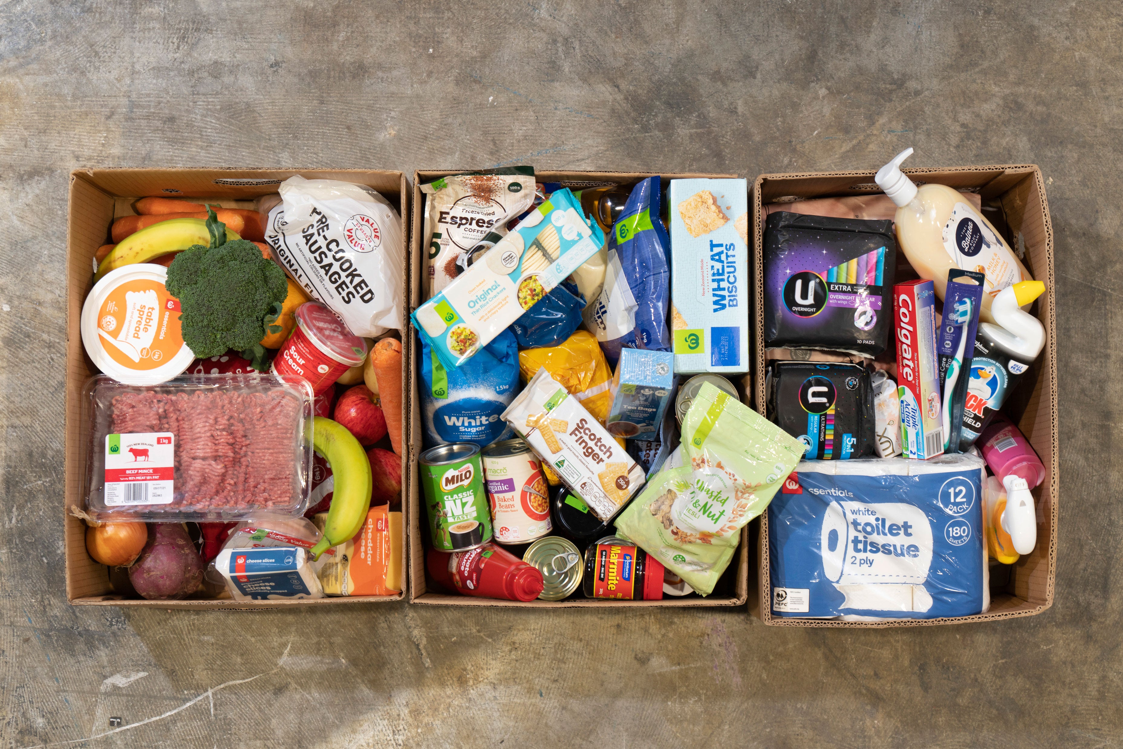 Test Large Family Food Support – The Foodbank Project